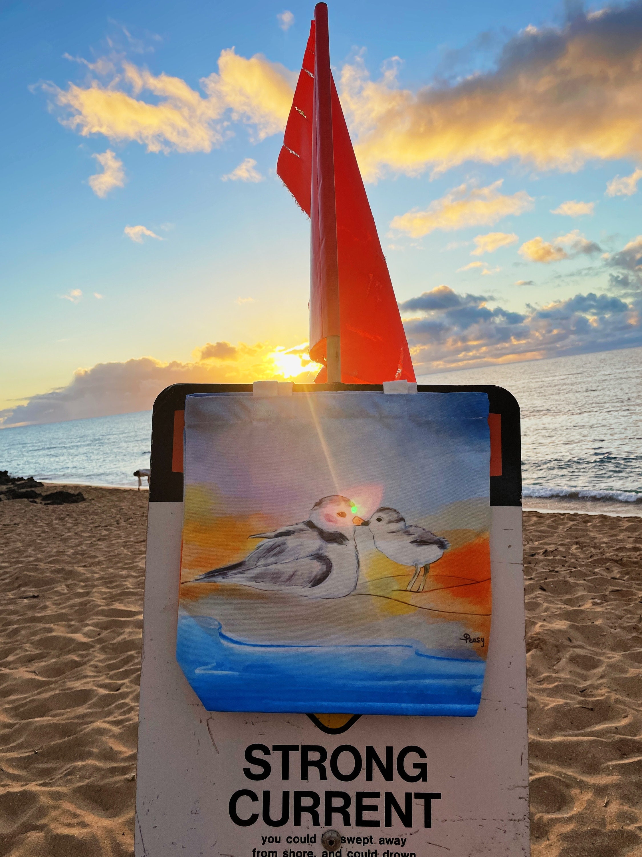 The Plover Tote. Piping Plover Summer Beach Tote. Present for Bird ...