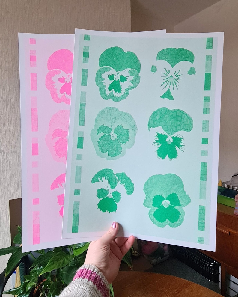 A3 Pansy Riso Print - Risograph Floral Print - Botanical Illustration -pink Pansies - Etsy