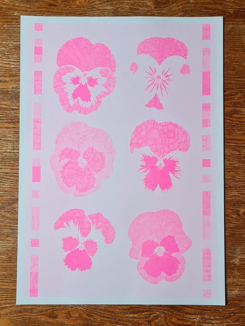 A3 Pansy Riso Print - Risograph Floral Print - Botanical Illustration ...