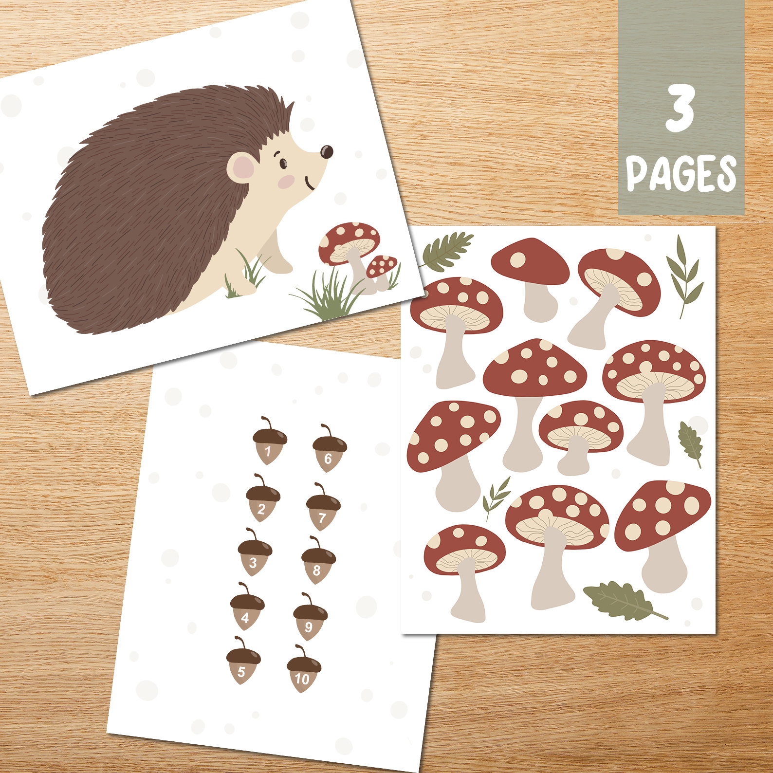 Number Counting and Matching | Hedgehog & Acorns | Printable Download ...