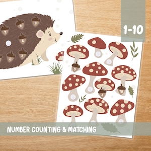 Number Counting and Matching | Hedgehog & Acorns | Printable Download ...