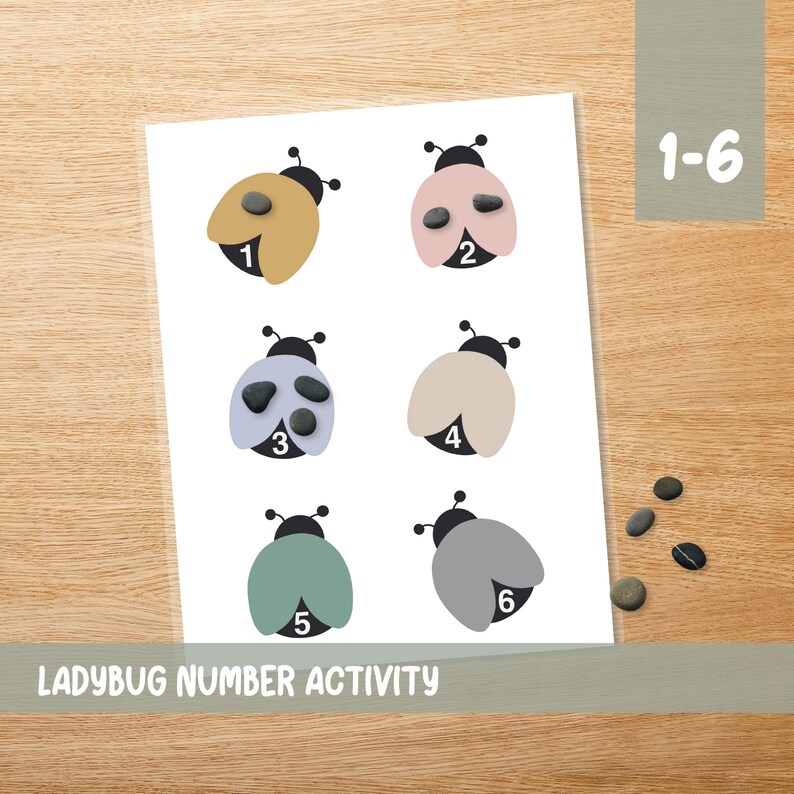 Ladybug Number Activity Printable Download - Etsy