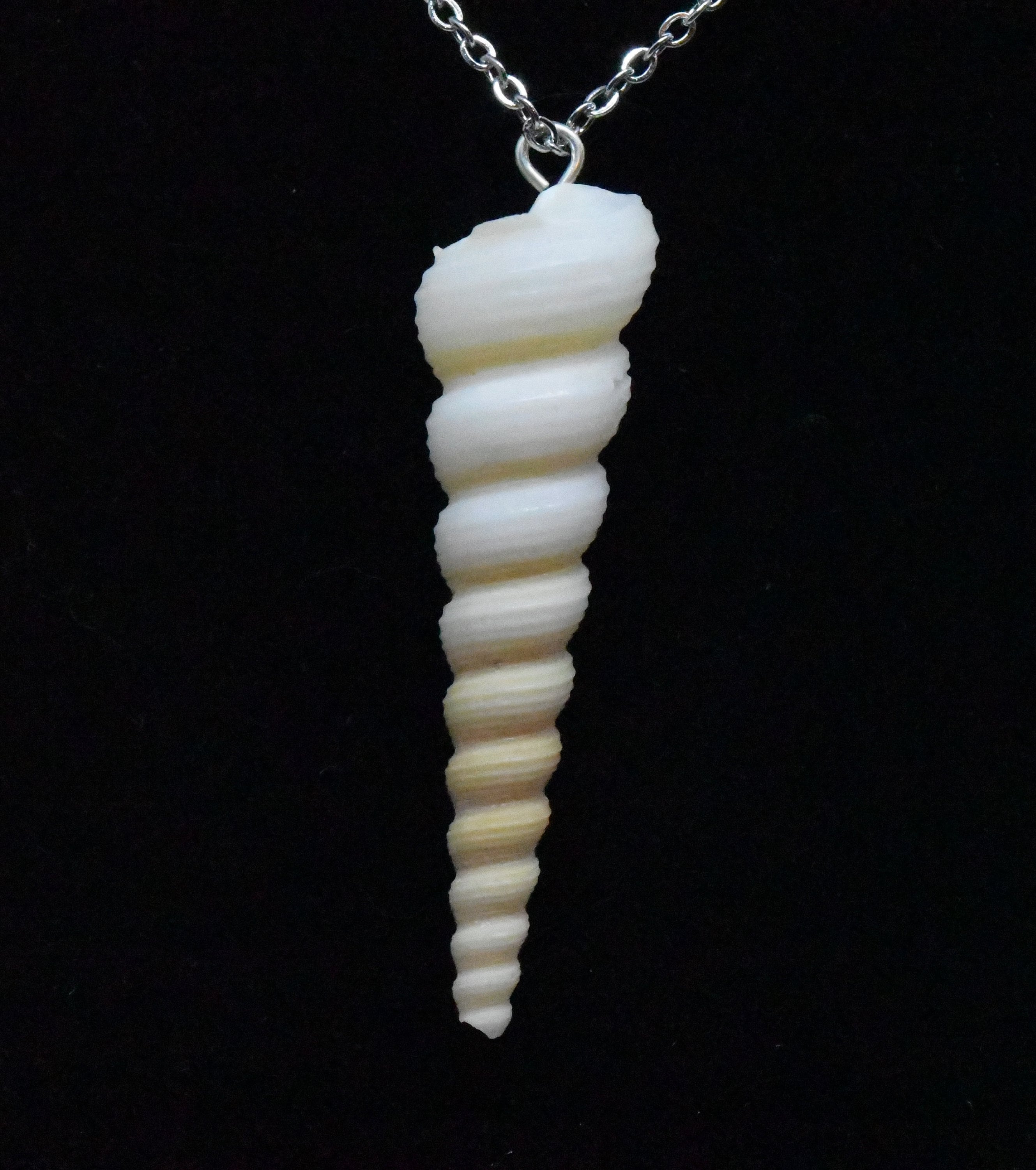 Spiral Cone Shell Necklace, Seashell Necklace, Beach Jewelry, Tropical ...