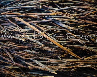 Bundle of twigs | Etsy
