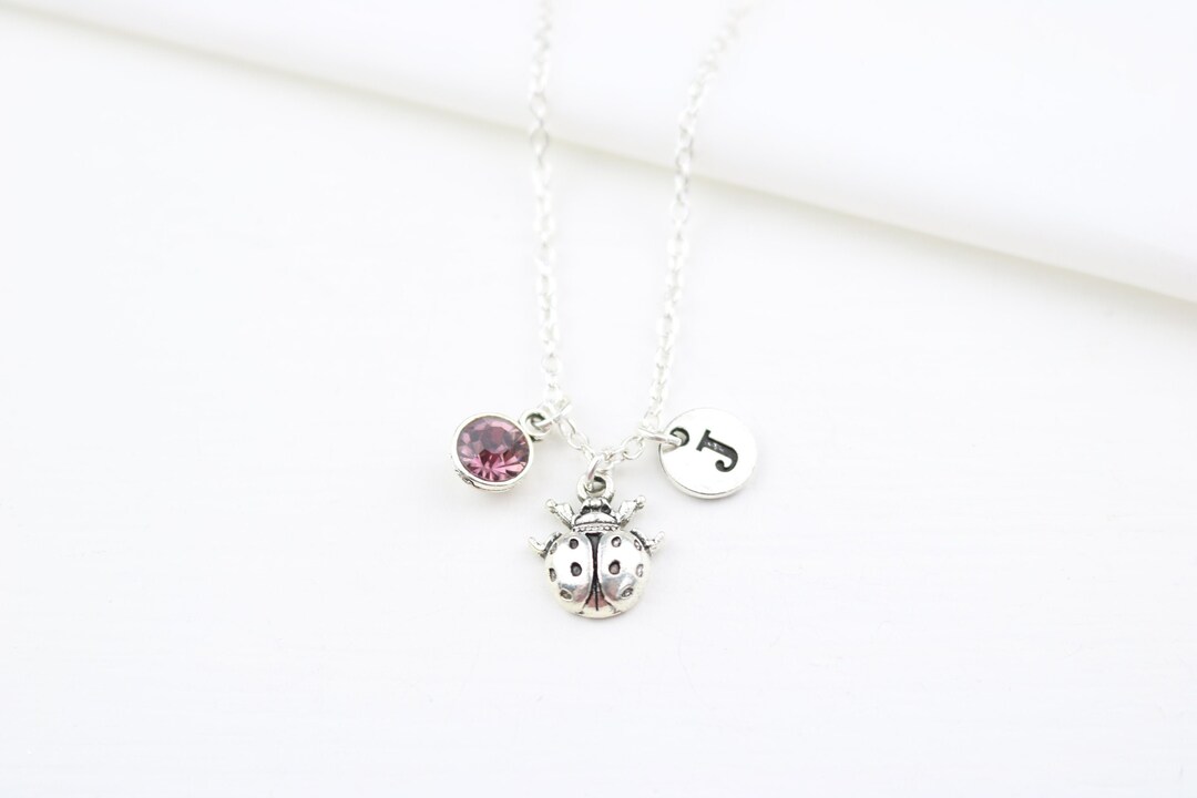 Ladybug Necklace, Ladybird Charm Gift, Ladybird Jewelry, Lady Bug ...