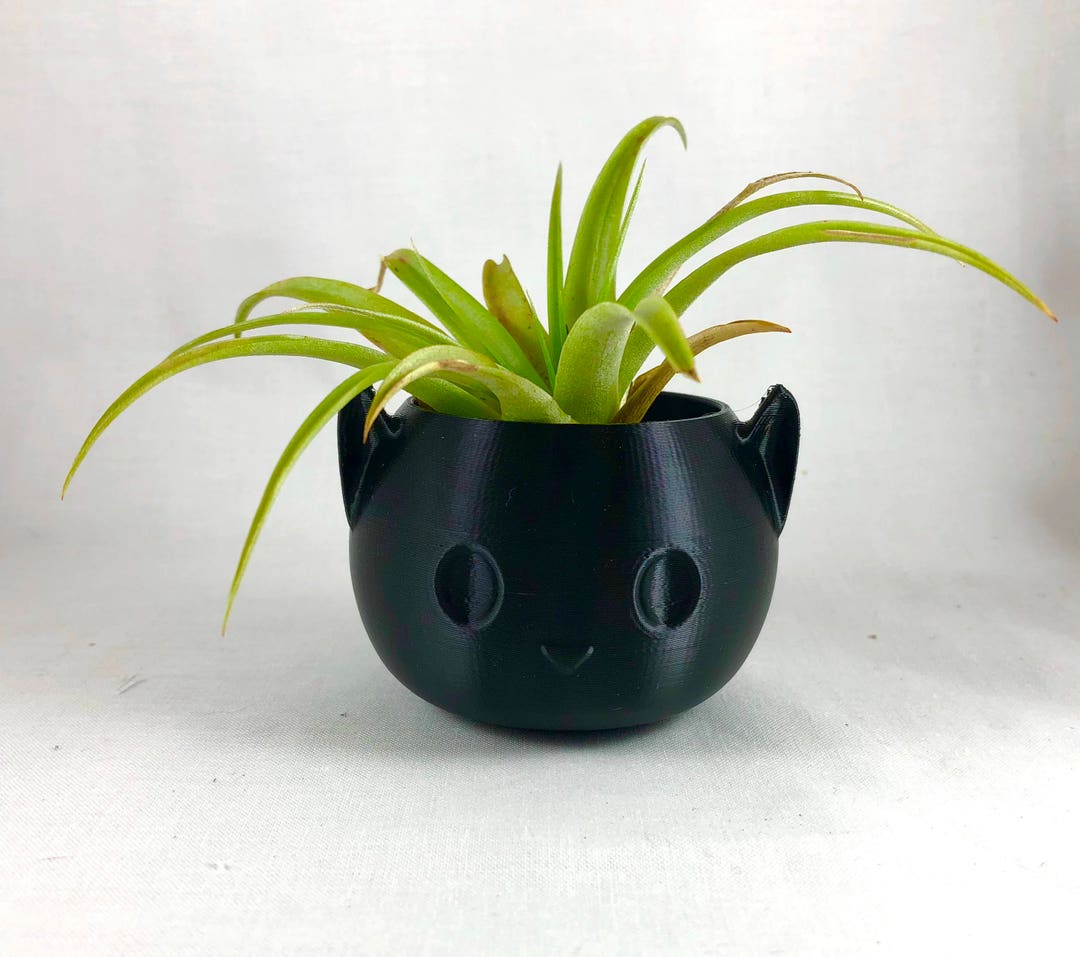 Air Plant Holder, Air Plant Holders, Planter Desk Gift, Mini Planter ...