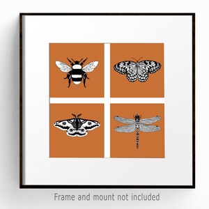 Insect Illustration Print With Bee Butterfly Dragonfly and - Etsy