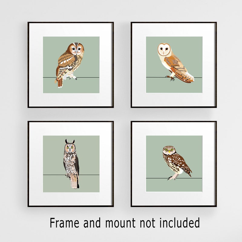Owl Drawing - Etsy