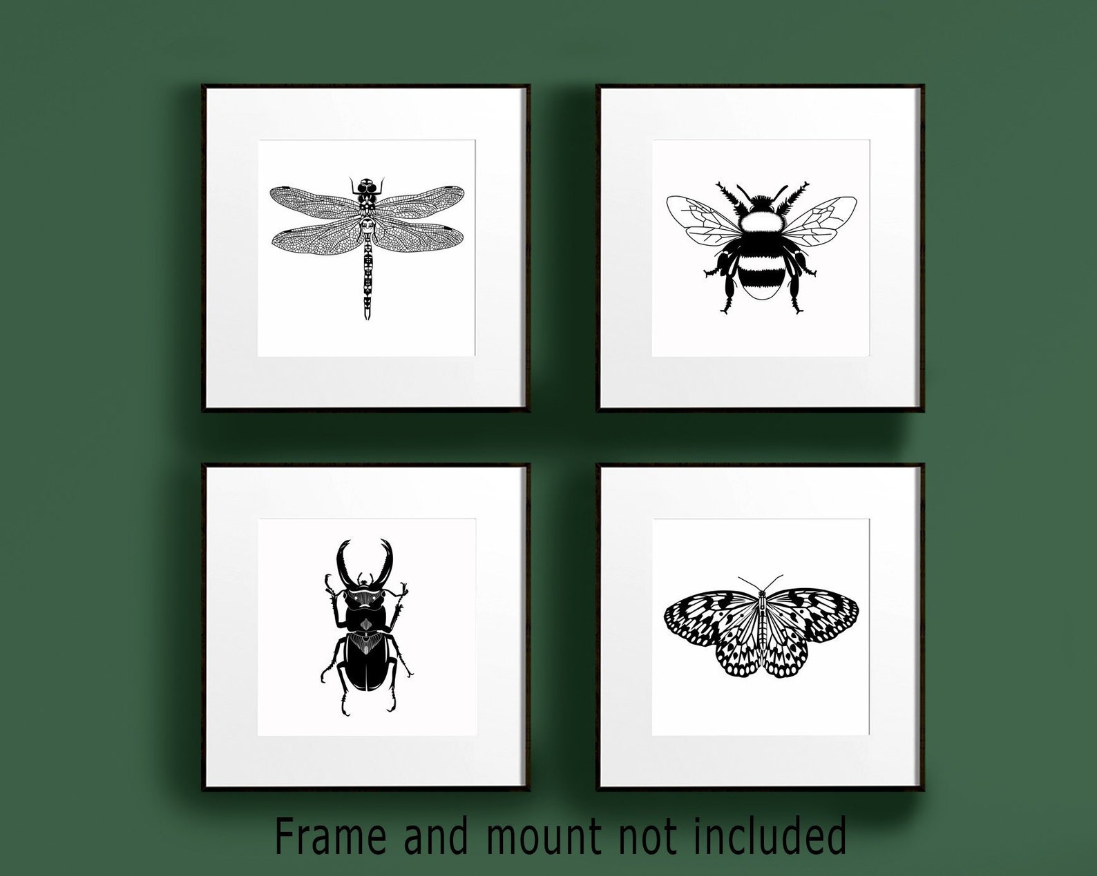 Set of 4 Insect Prints | Etsy