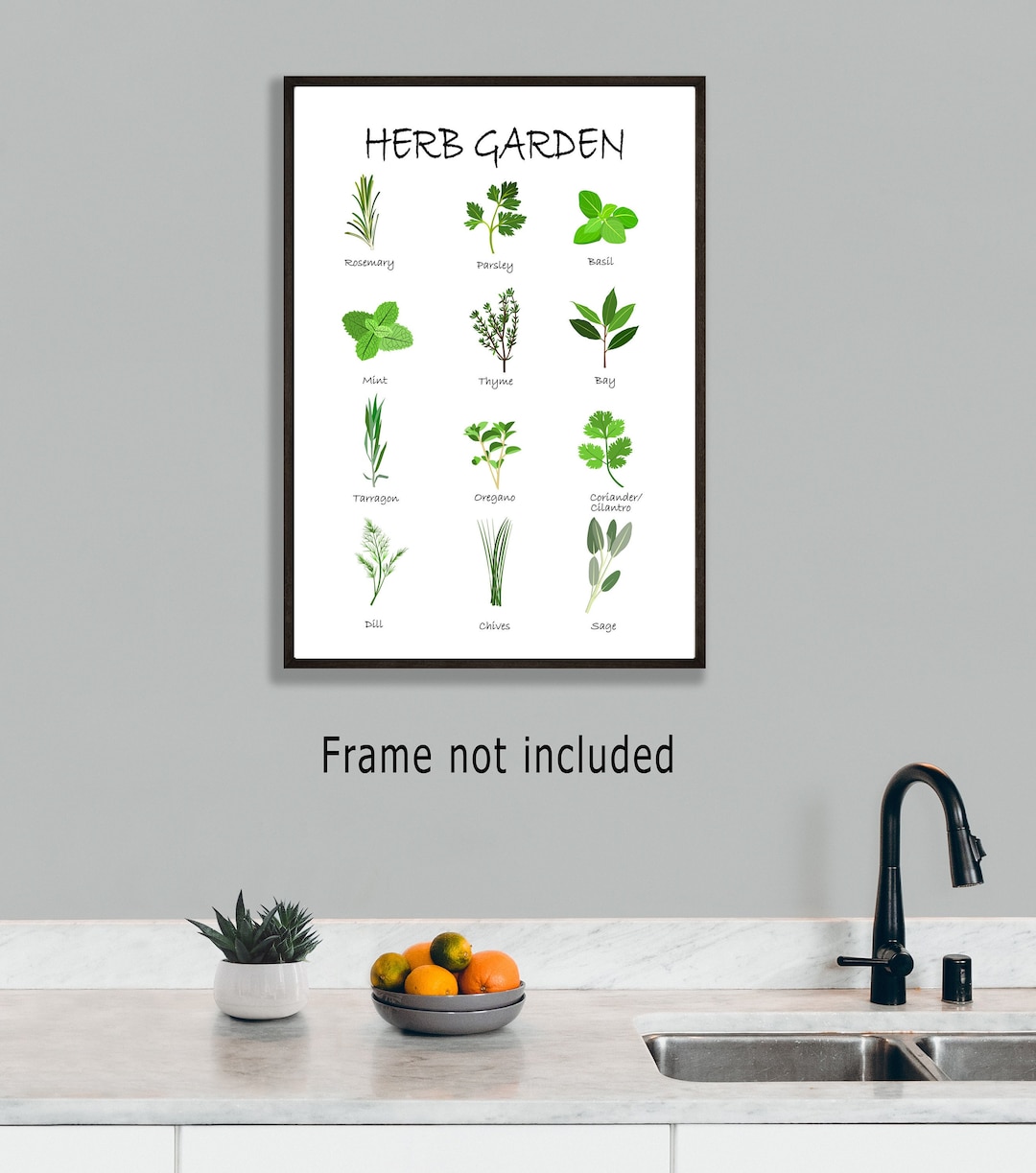 Herbs Print, Herb Poster, Herb Art, Botanical Wall Art - Etsy