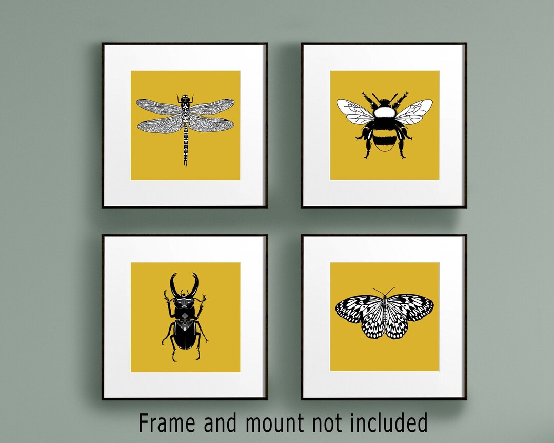 Set of 4 Insect Prints - Etsy