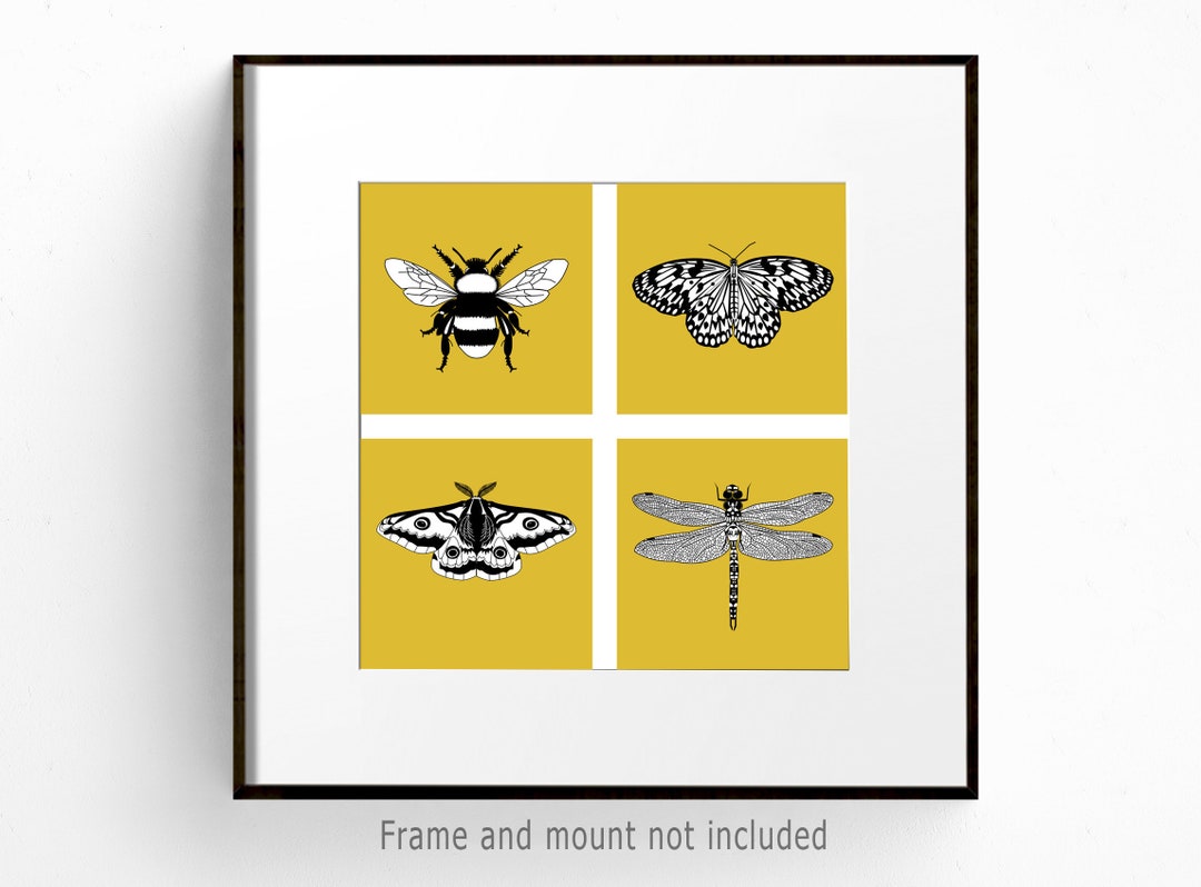Insect Illustration Print With Bee Butterfly Dragonfly and - Etsy