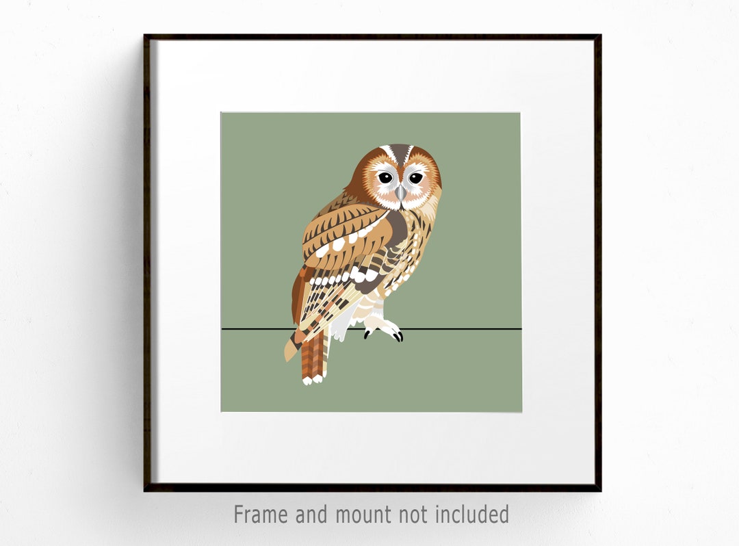 Tawny Owl Art Print: Elegant Bird Illustration for Nature Lovers, and ...