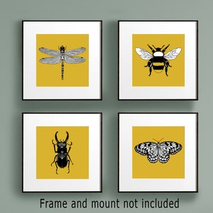 Set of 4 Insect Prints | Etsy