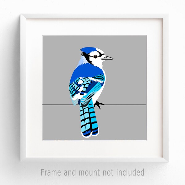 Blue Jay Art - Etsy