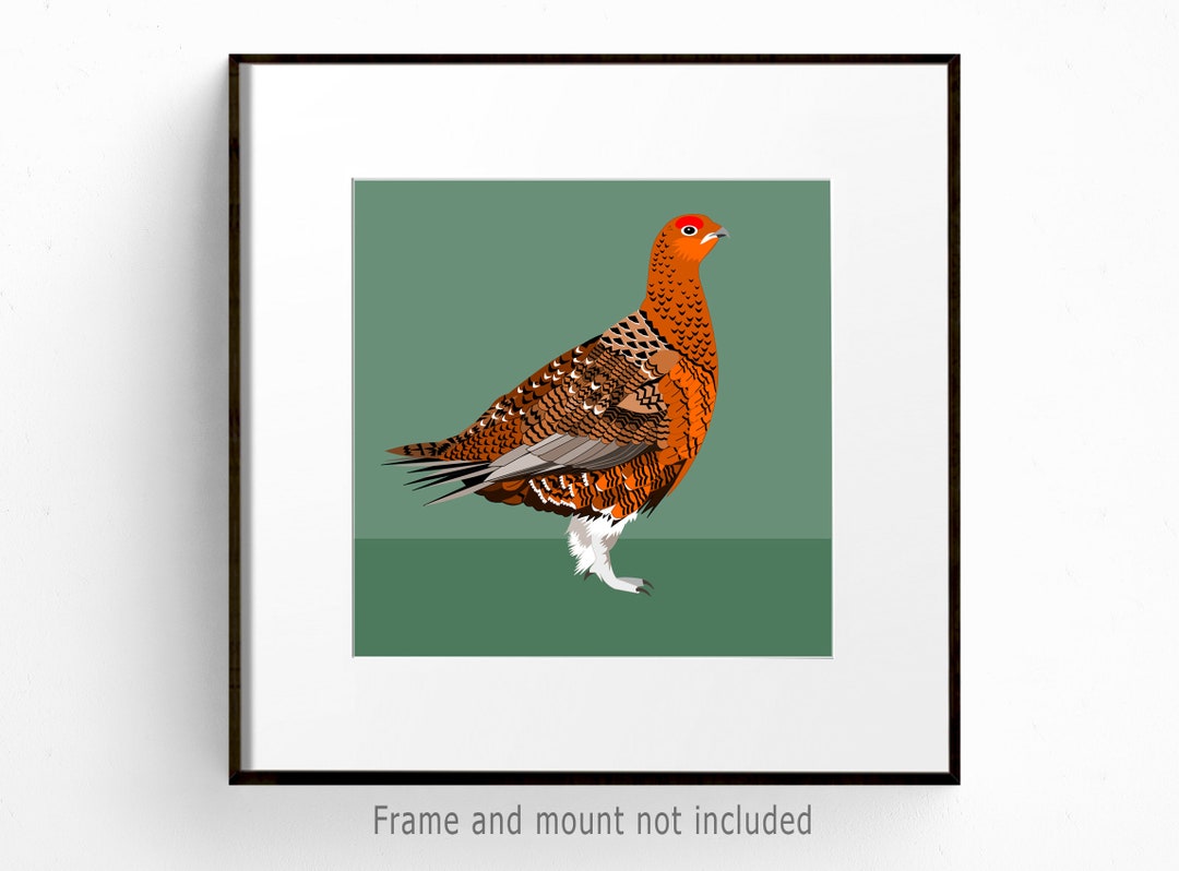 Grouse Wall Art Grouse Art Print Game Bird Illustration - Etsy