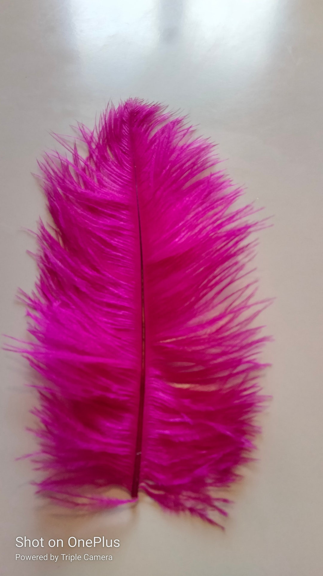 Large Synthetic Feather in Fuchsia Color Frilly Style - Etsy