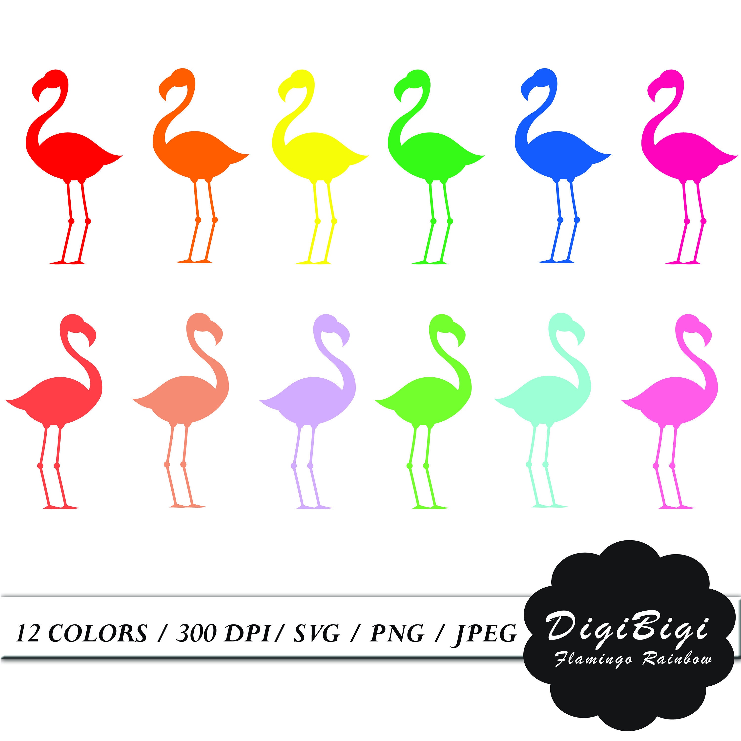 Colorful Flamingo Clipart: SVG, PNG, JPEG (digital Download) - Etsy
