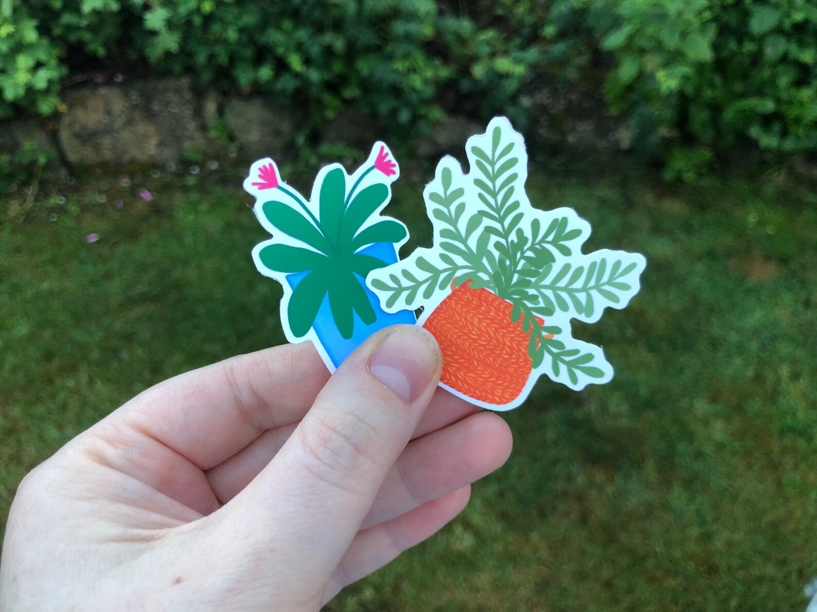 House Plants Sticker Pack Matte Vinyl Sticker Pack | Etsy