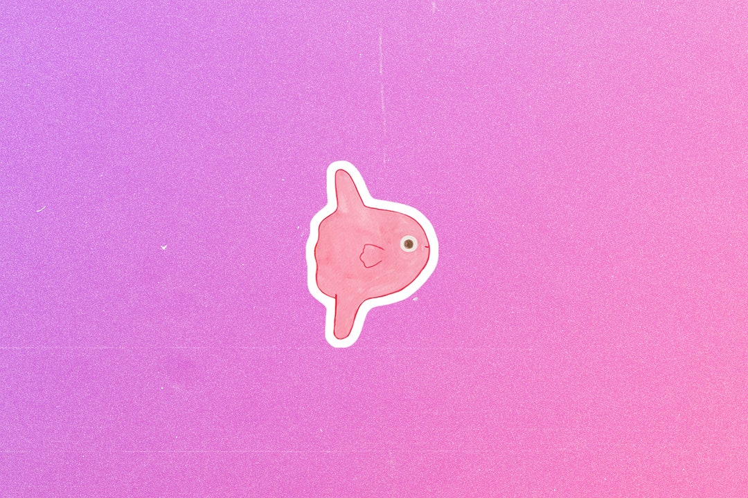 Ocean Sunfish Sticker, Cute Sticker, Illustrated Stickers, Stocking ...