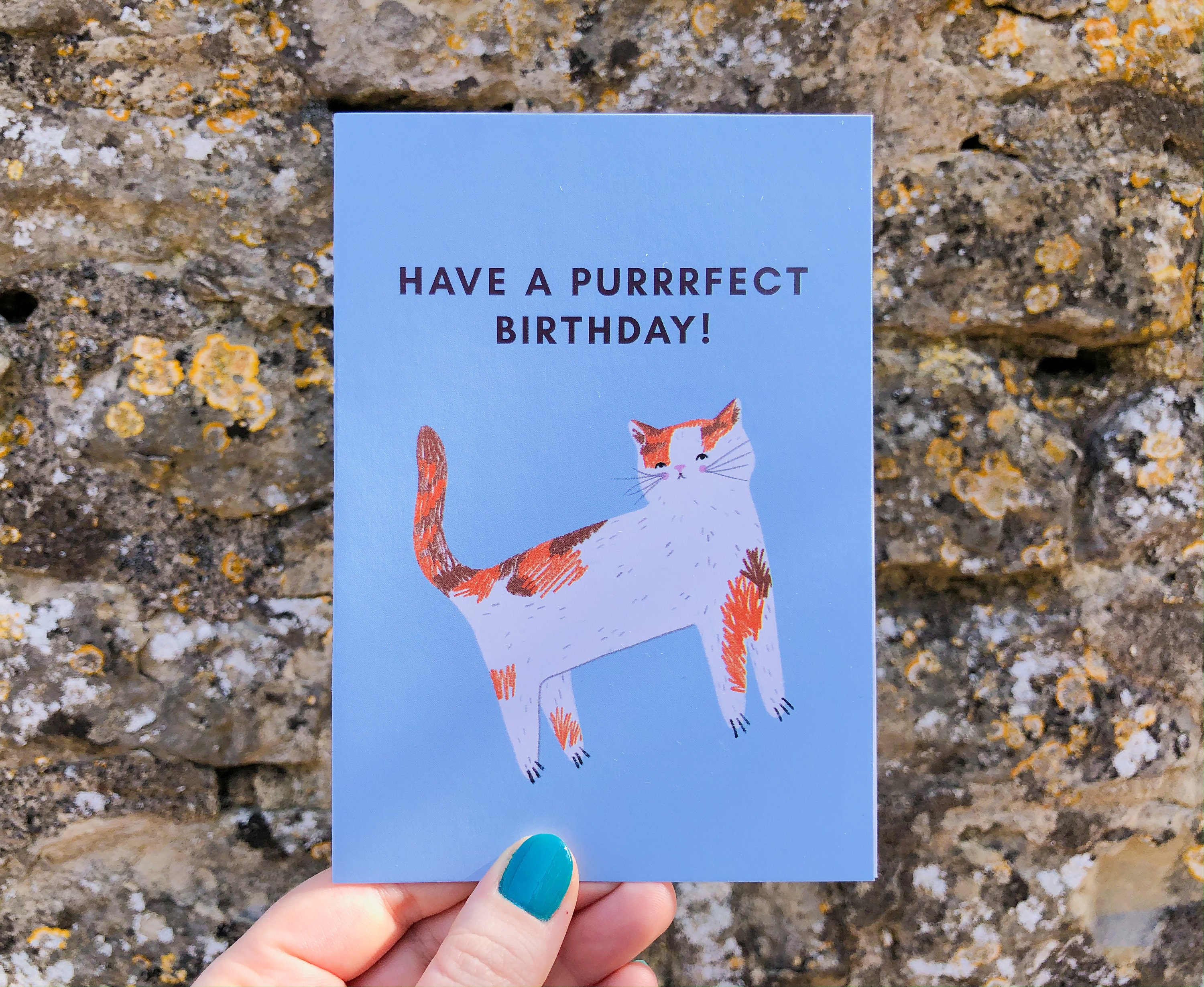 Purrfect Birthday Card Cat Lover Gift Best Friend Card Cat | Etsy