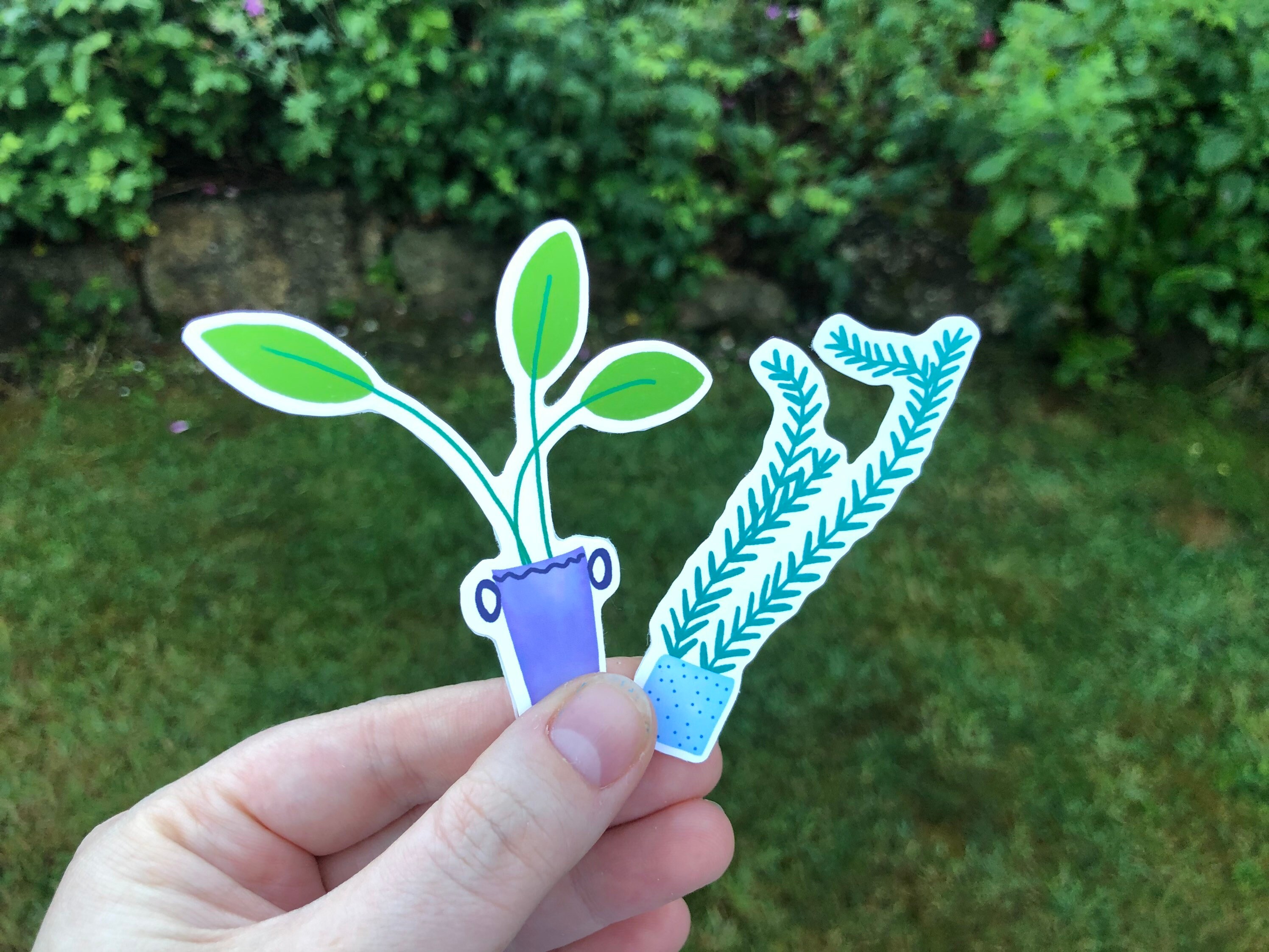 House Plants Sticker Pack Matte Vinyl Sticker Pack | Etsy