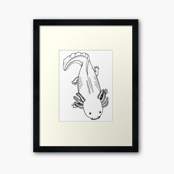 Axylotyl Drawing Adult Coloring Page | Etsy