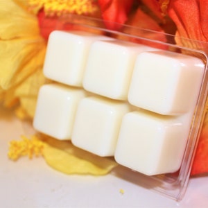 Bread Pudding Wax Melt, Budin De Pan, Puerto Rican Gift, Cake Wax Melt ...