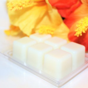 Bread Pudding Wax Melt, Budin De Pan, Puerto Rican Gift, Cake Wax Melt ...