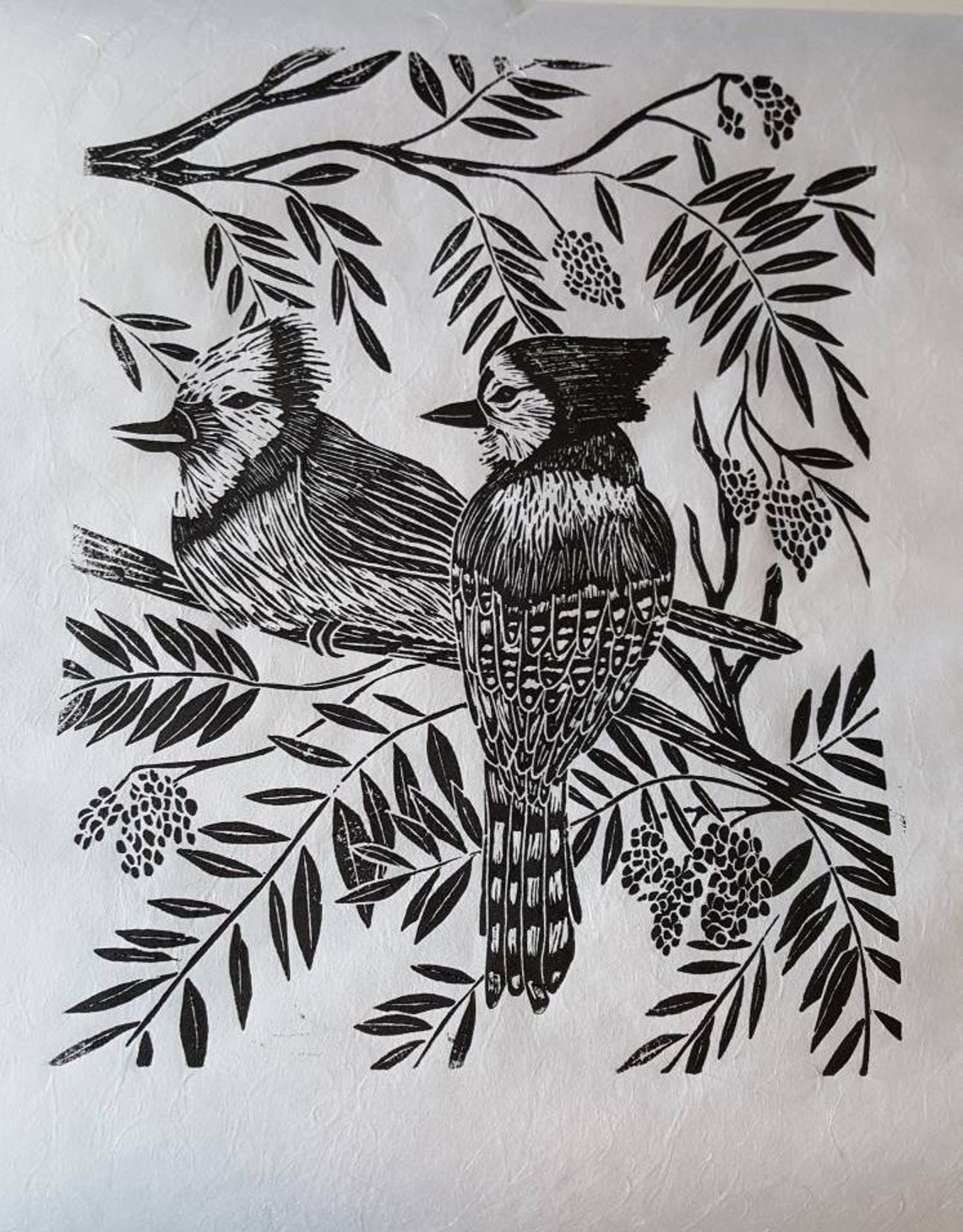Blue Jay Linoleum Block Print - Etsy