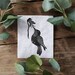 Hummingbird Linoleum Block Print - Etsy
