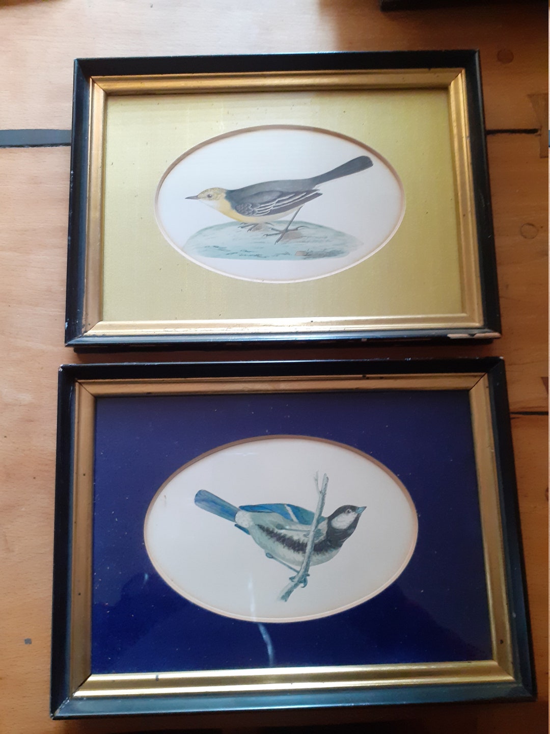 Antique bird framed prints, victorian bird prints, old pictures of ...
