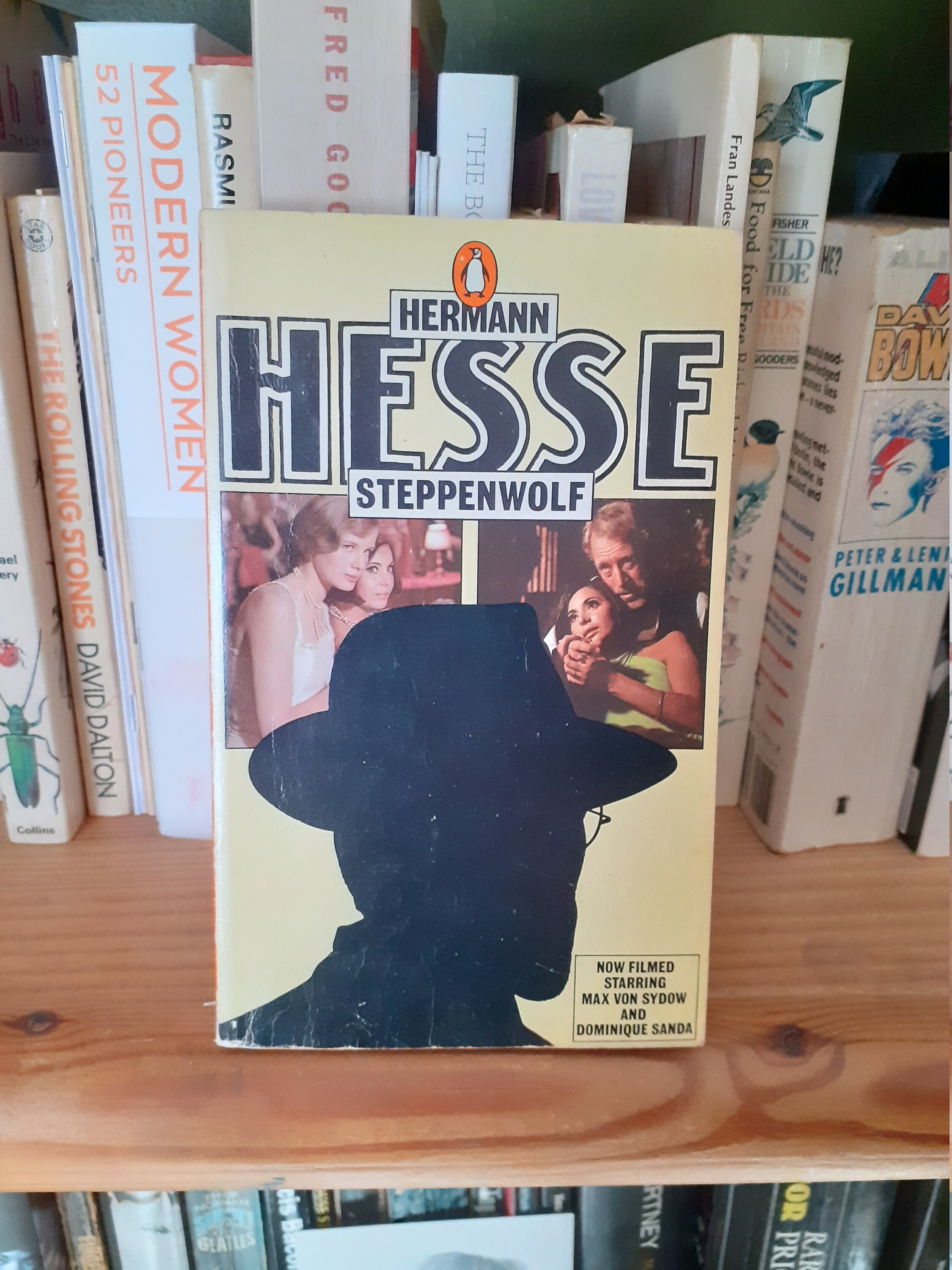 Livre de poche classique de Pengiun Steppenwolf, romans, littérature ...