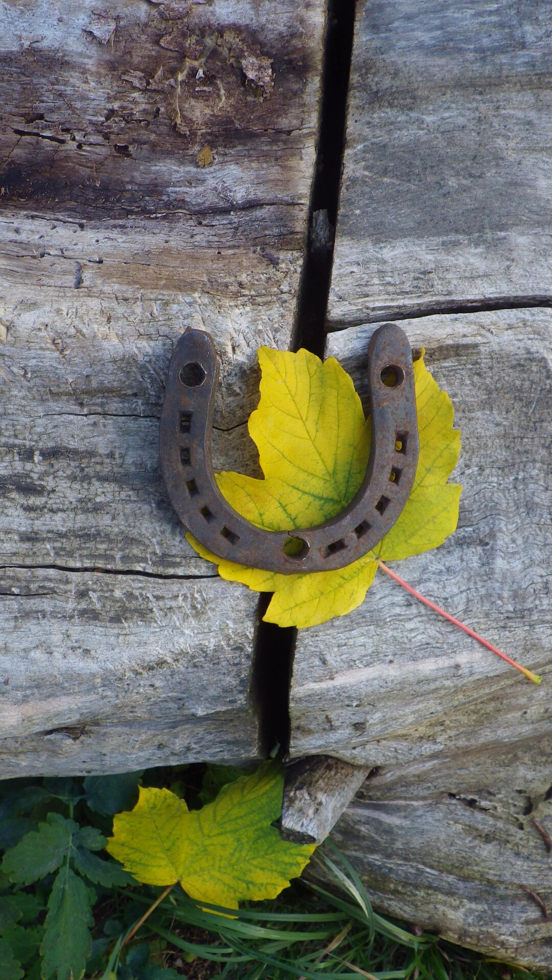 Average Vintage Horseshoe, Good Luck Horseshoes, Rustic Decor, Rustic ...
