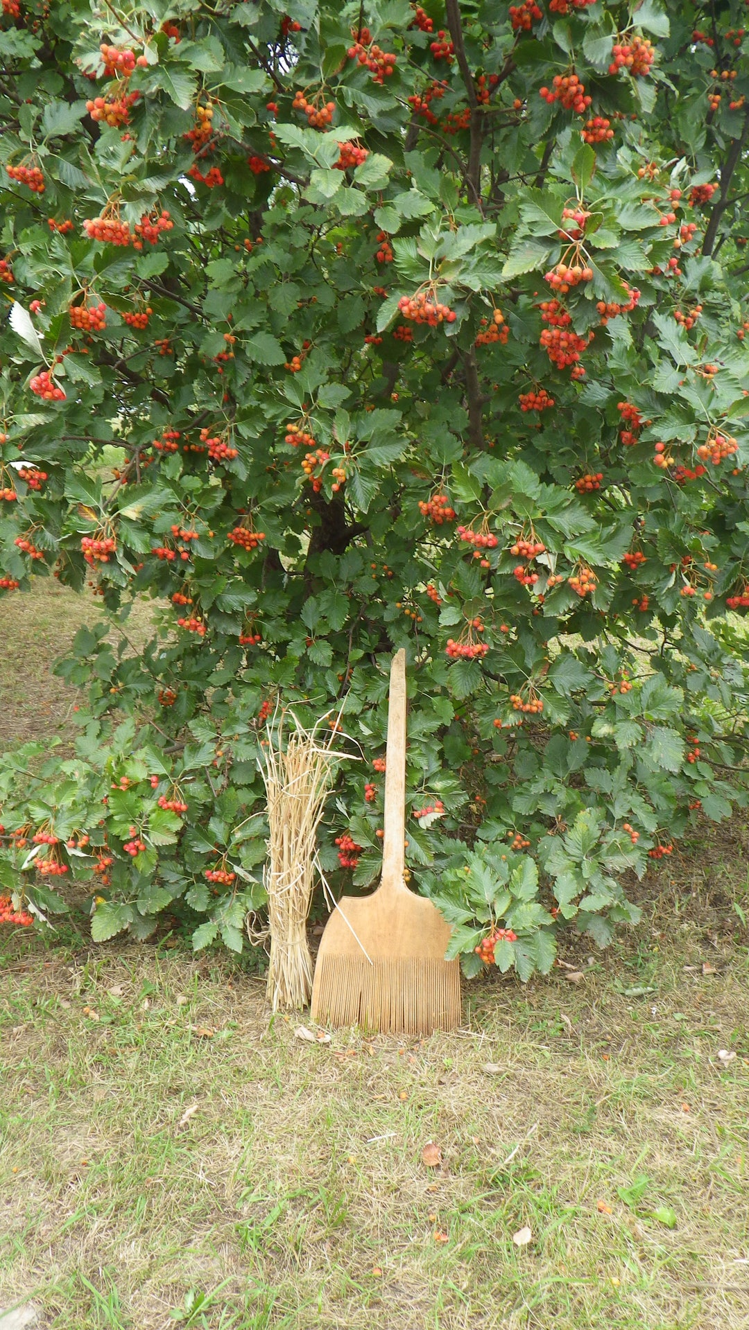 Ancient Tool, Barber Gift, Salon Decor, Wooden Comb, Garden Decor ...