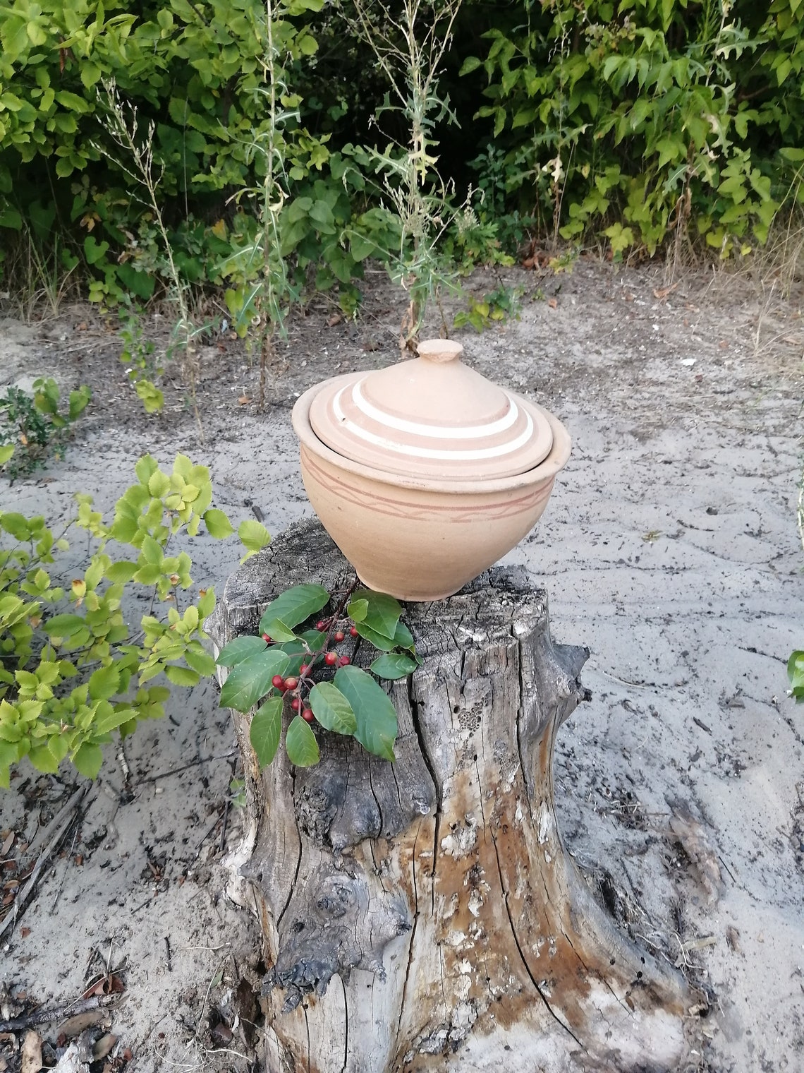 Clay pots Ceramic Vase Clay pot Ceramic pot Flower Vase | Etsy