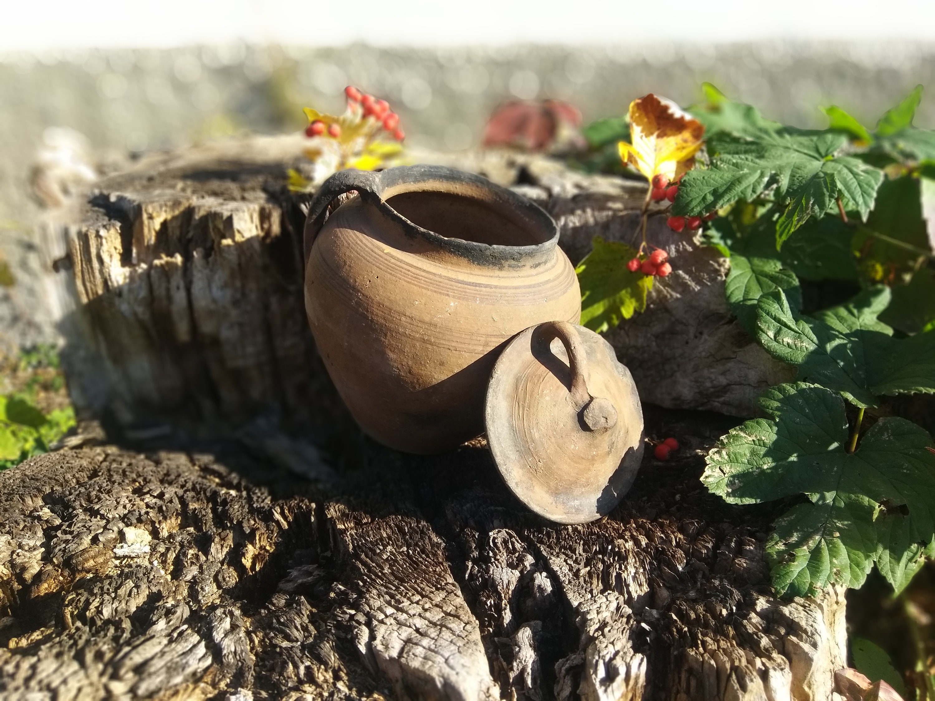 Clay Pots Ceramic Vase Clay Pot Pot With a Lid Flower | Etsy