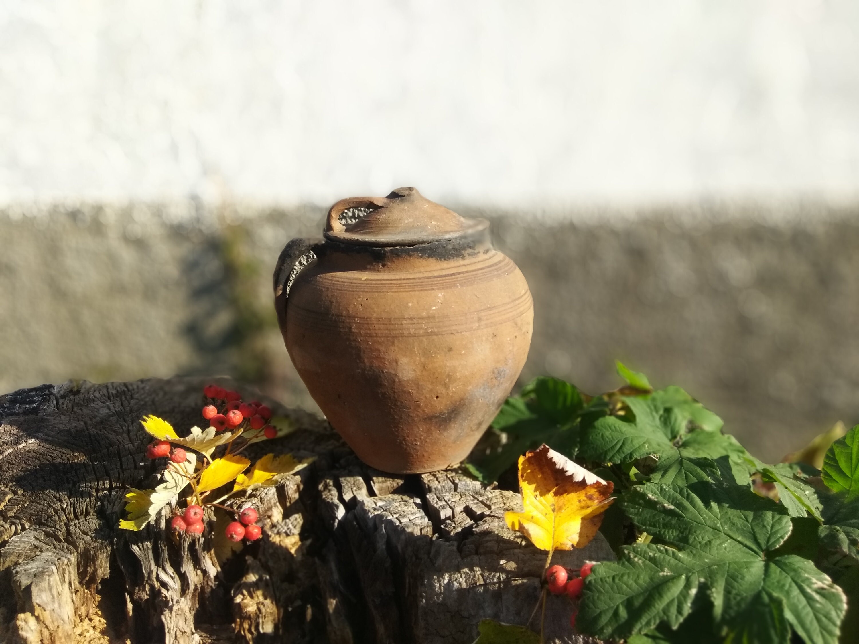 Clay Pots Ceramic Vase Clay Pot Pot With a Lid Flower | Etsy