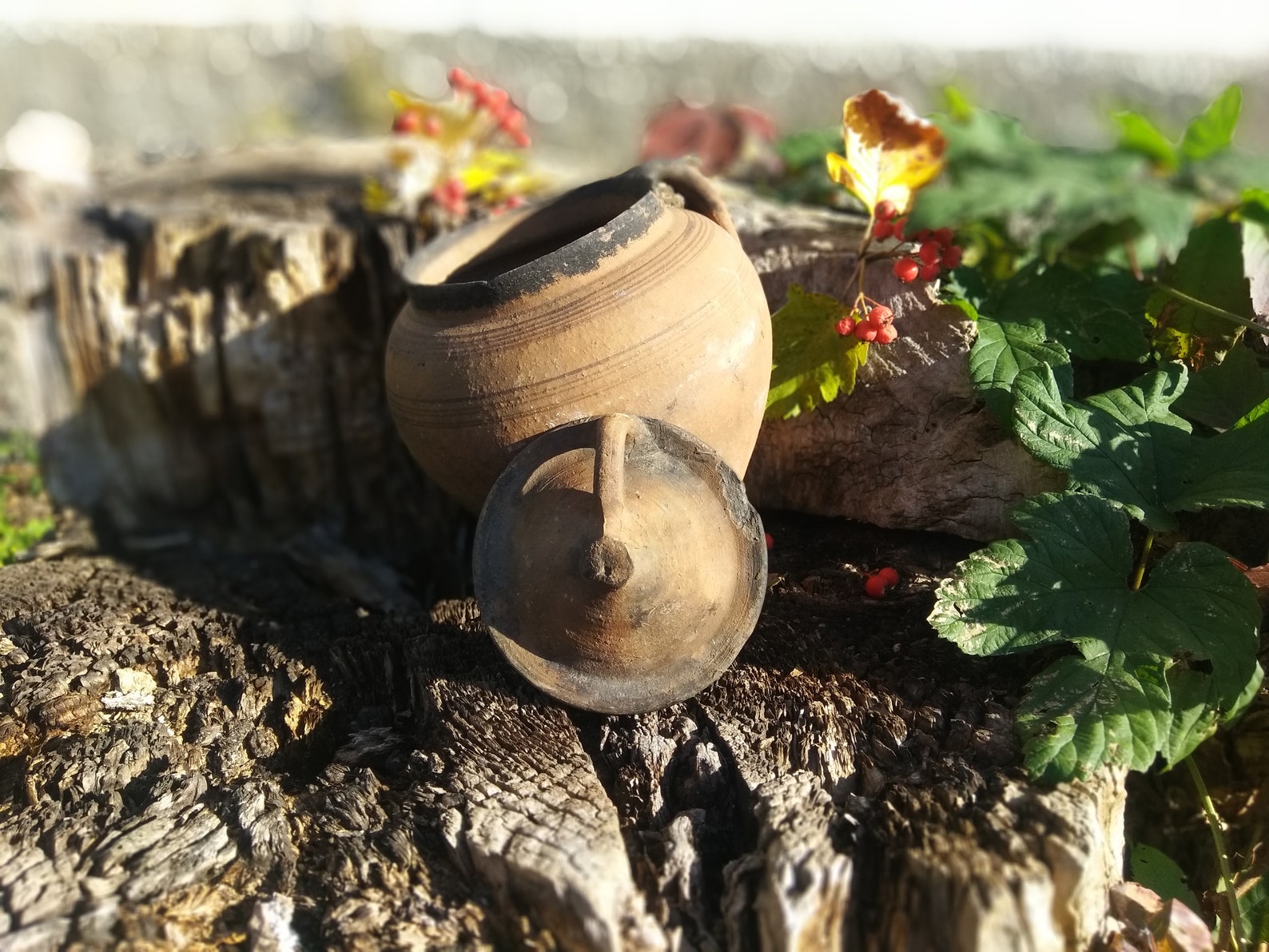 Clay Pots Ceramic Vase Clay Pot Pot With a Lid Flower - Etsy