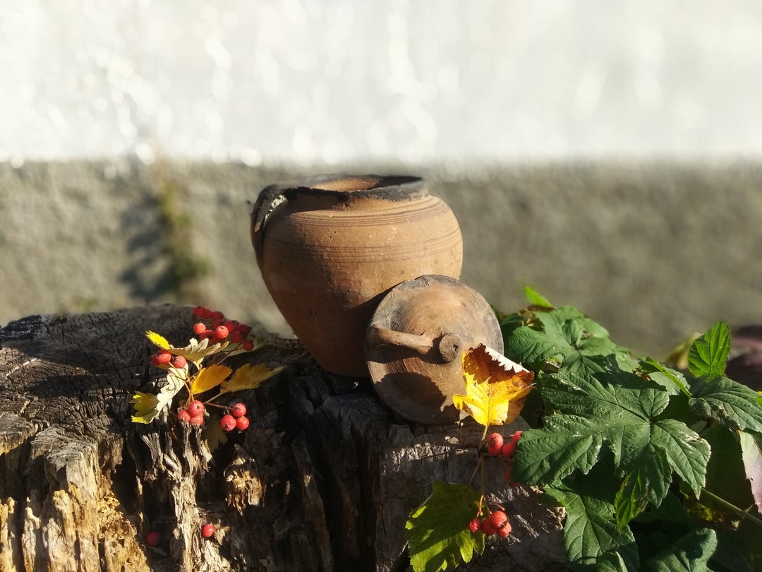 Clay Pots, Ceramic Vase, Clay Pot, Pot With a Lid, Flower Vase, Ceramic ...