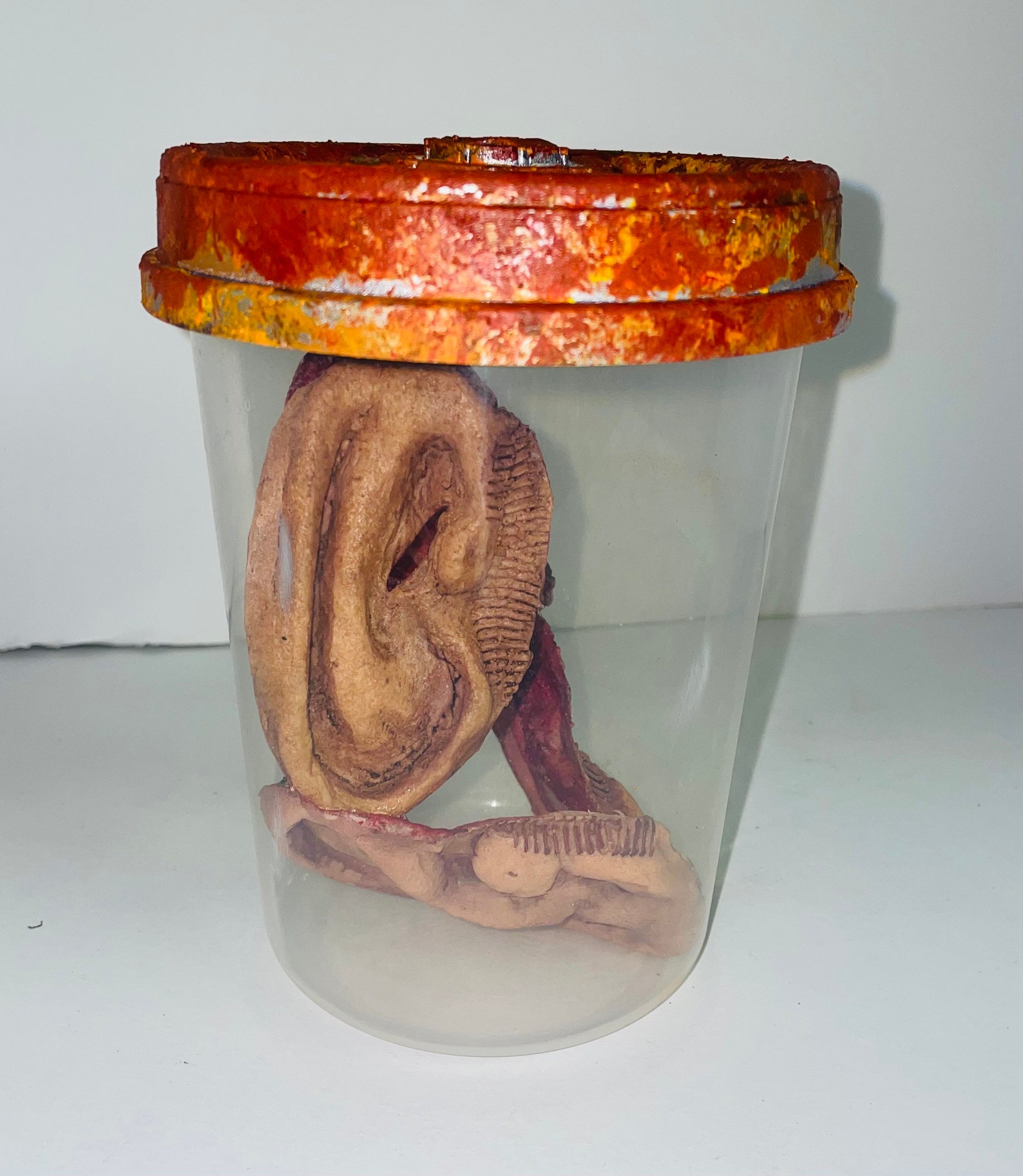 Ear Specimen Jar - Etsy