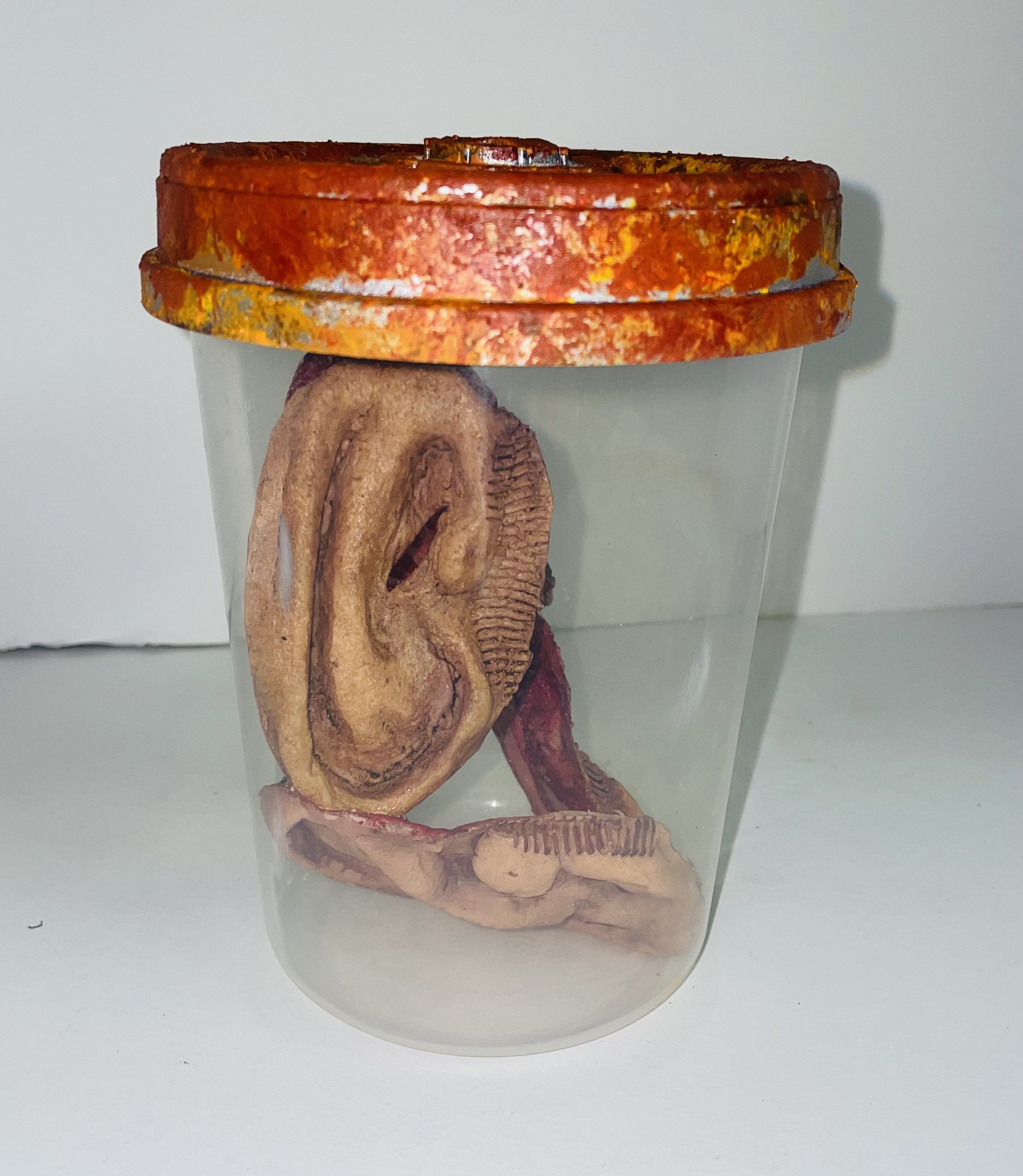Ear Specimen Jar - Etsy