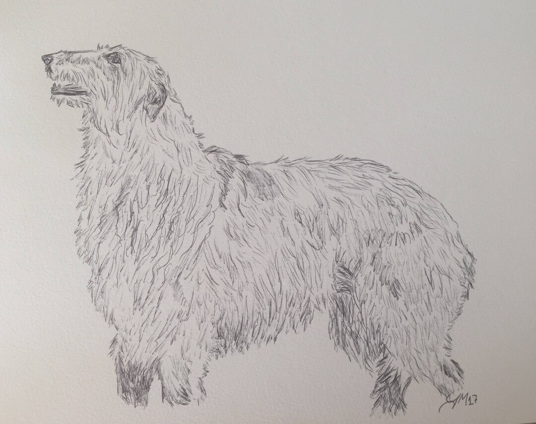 Scottish Deerhound Original Pen Drawing - Etsy