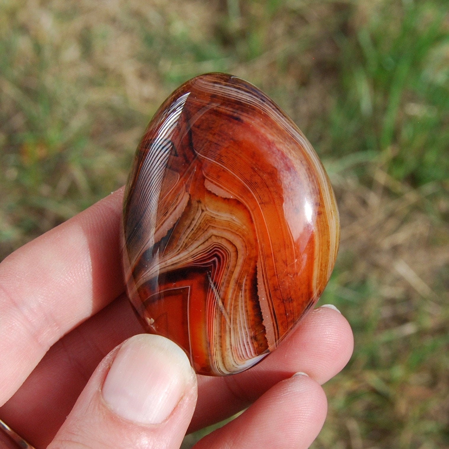 Silk Agate Palm Stone Crystal Polished Banded Agate Stone Sculpting ...