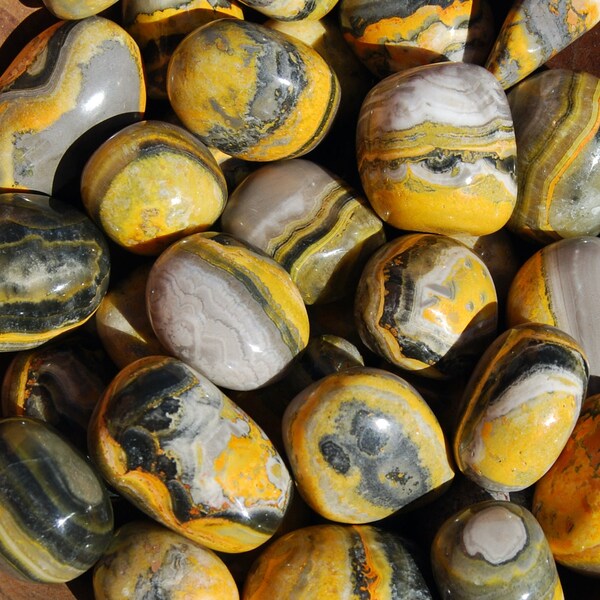 Bumblebee Jasper - Etsy