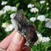 2.25in 38g RARE RED Chlorite Quartz Crystal Cluster, Trigonic Record ...