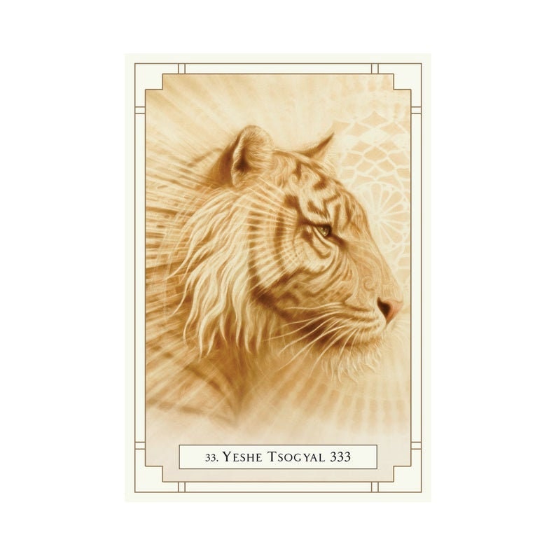 White Light Oracle Card Deck by Alana Fairchild and A. Andrew | Etsy