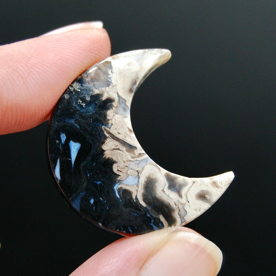 30mm Fossilized Palm Root Crescent Moon Cabochon, Intricate Fossil Palm ...