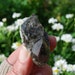2.25in 38g RARE RED Chlorite Quartz Crystal Cluster, Trigonic Record ...