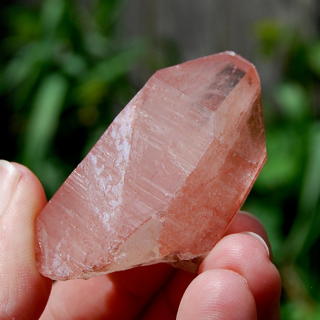 2in 41g Tabby Strawberry Pink Lemurian Seed Quartz Crystal Starbrary ...